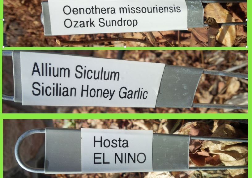 The Importance of Plant Labelling | The Peterborough & Area Master ...