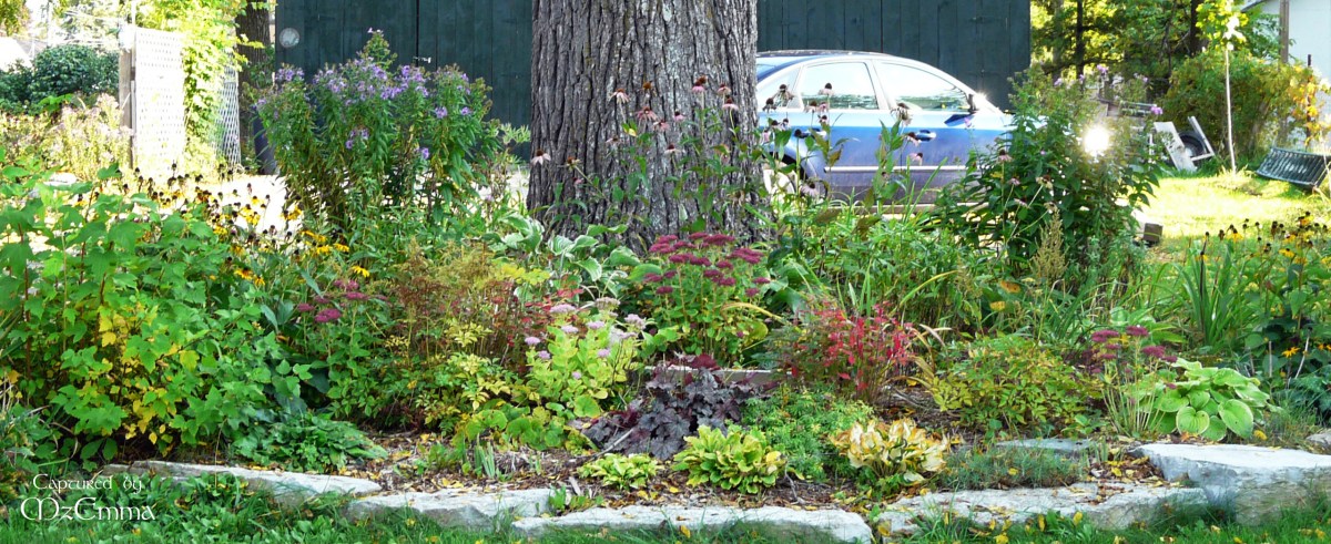 Becoming the Caretaker of your Garden | The Peterborough & Area Master ...