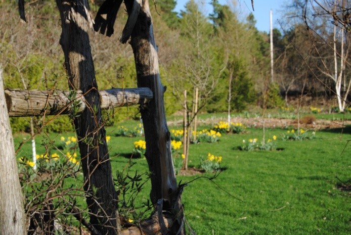 Permaculture: Where do I start? | The Peterborough & Area Master Gardeners