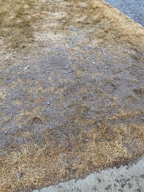 What to Do About Road Salt Damage | The Peterborough & Area Master ...