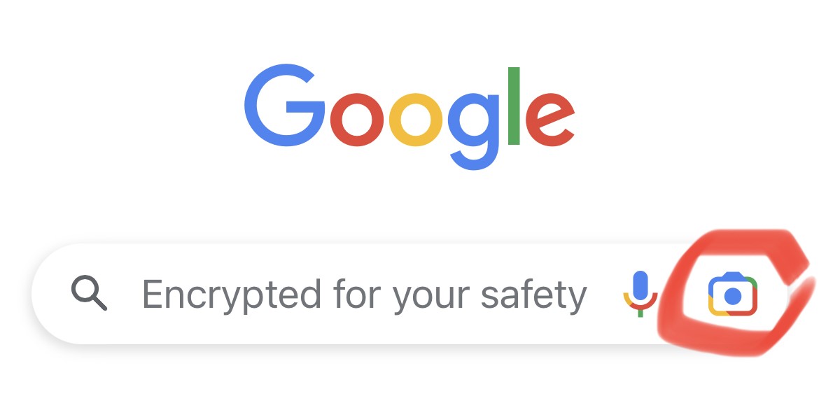 Google Lens (free!) for all of your identification needs | The ...