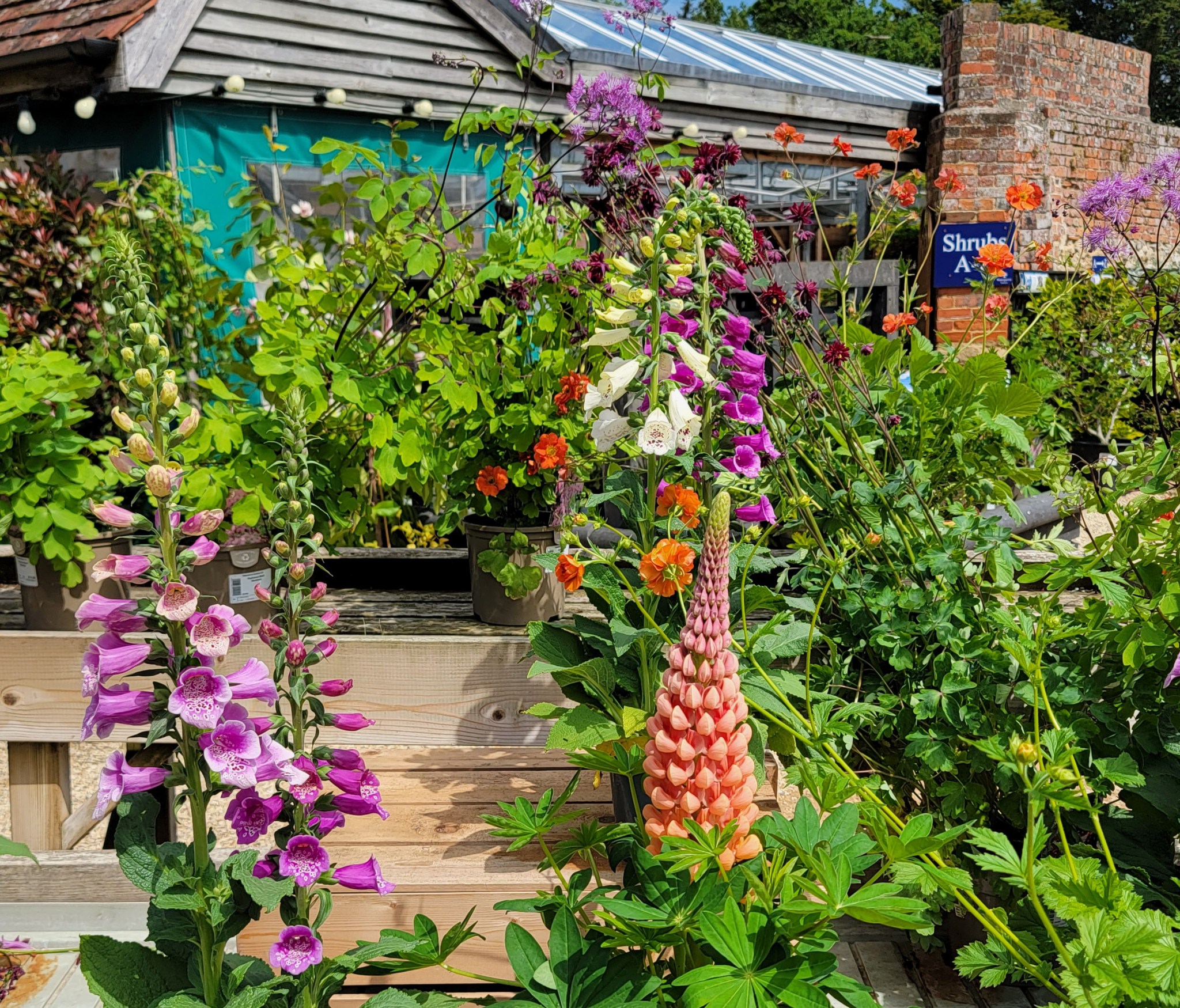 Exploring Two Special English Gardens (and the Gardeners behind them ...