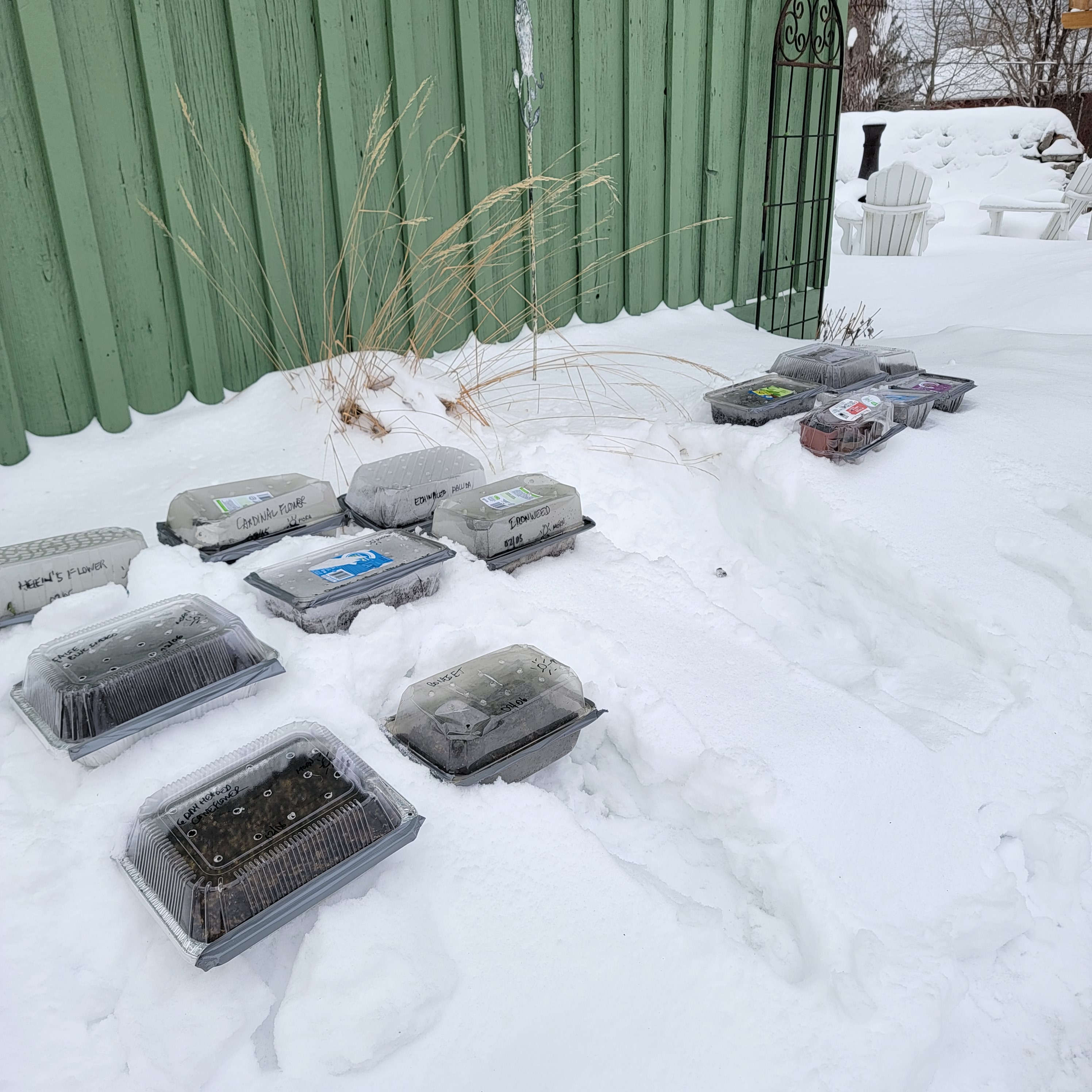 The KISS Principle – Winter Sowing 101 | The Peterborough & Area Master ...