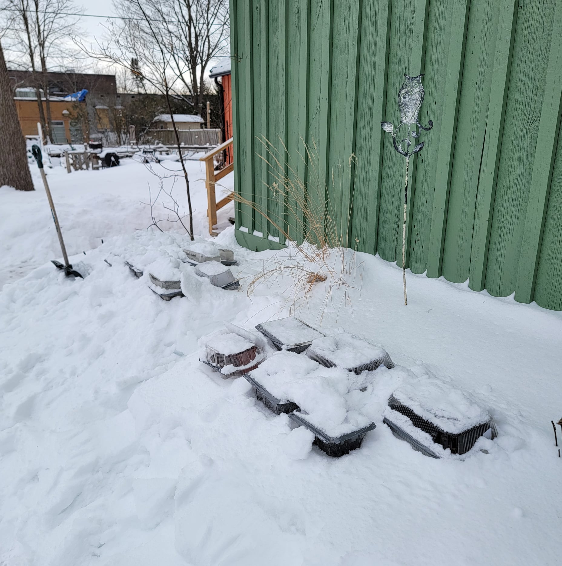 The KISS Principle – Winter Sowing 101 | The Peterborough & Area Master ...