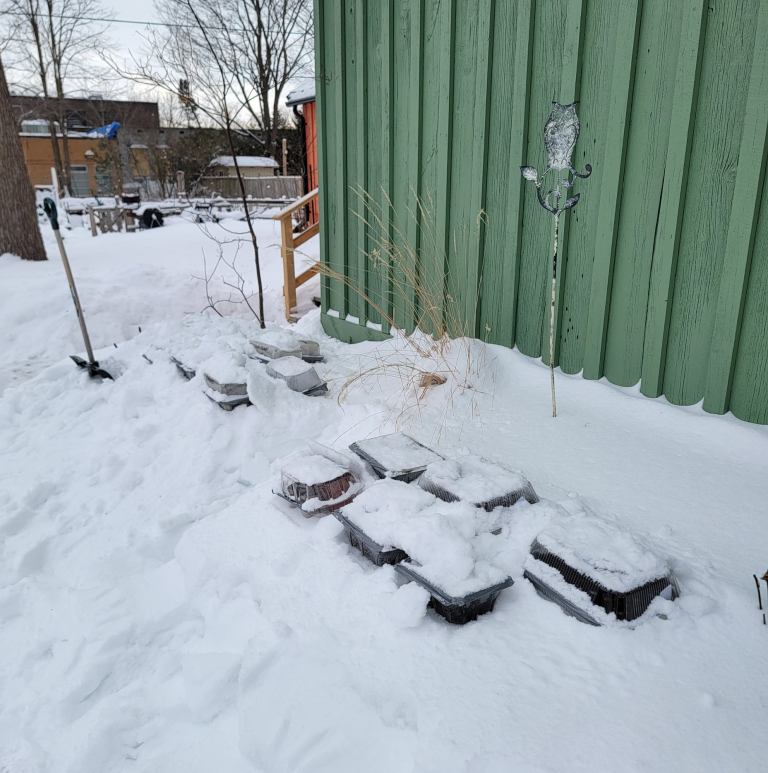 The KISS Principle – Winter Sowing 101 | The Peterborough & Area Master ...