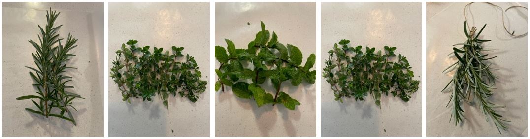 Spice It Up! | The Peterborough & Area Master Gardeners