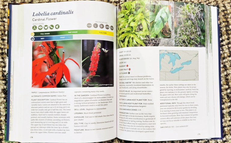 Book Review – The Gardener’s Guide to Native Plants of the Southern ...