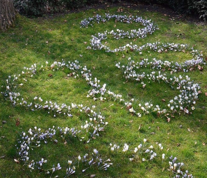 Maximizing the Beauty of Spring Bulbs | The Peterborough & Area Master ...