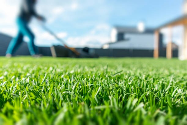 Managing your Lawn | The Peterborough & Area Master Gardeners