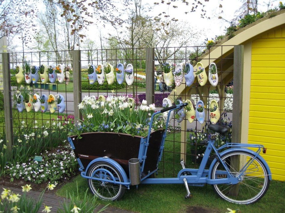 The Magic of Transformation | The Peterborough & Area Master Gardeners